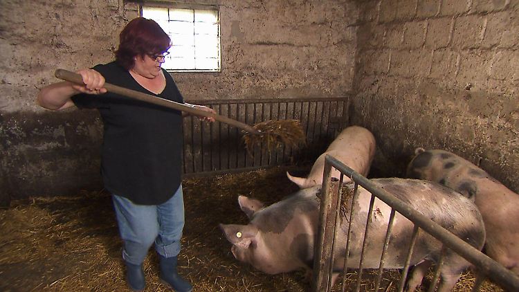 "Bauer sucht Frau" - die zweite Folge der Staffel 2013 bei RTL - n-tv.de