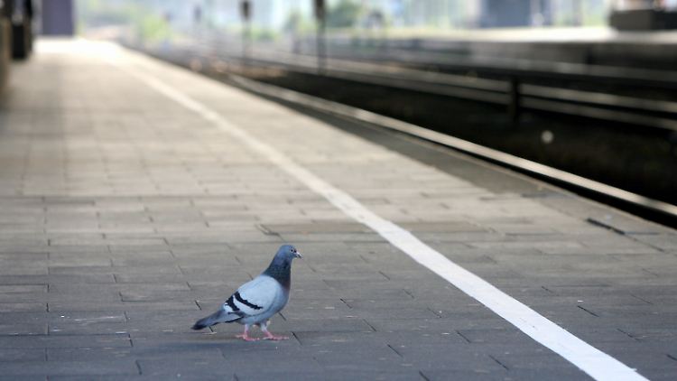 An pakistanischer Grenze: Verdacht auf Spionage: Indische Polizei ...