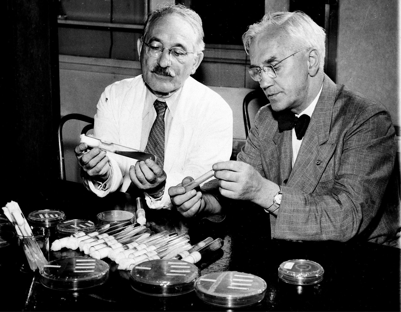 Von Penicillin bis zum Fadenwurm: Diese Mediziner sind Nobelpreis ...