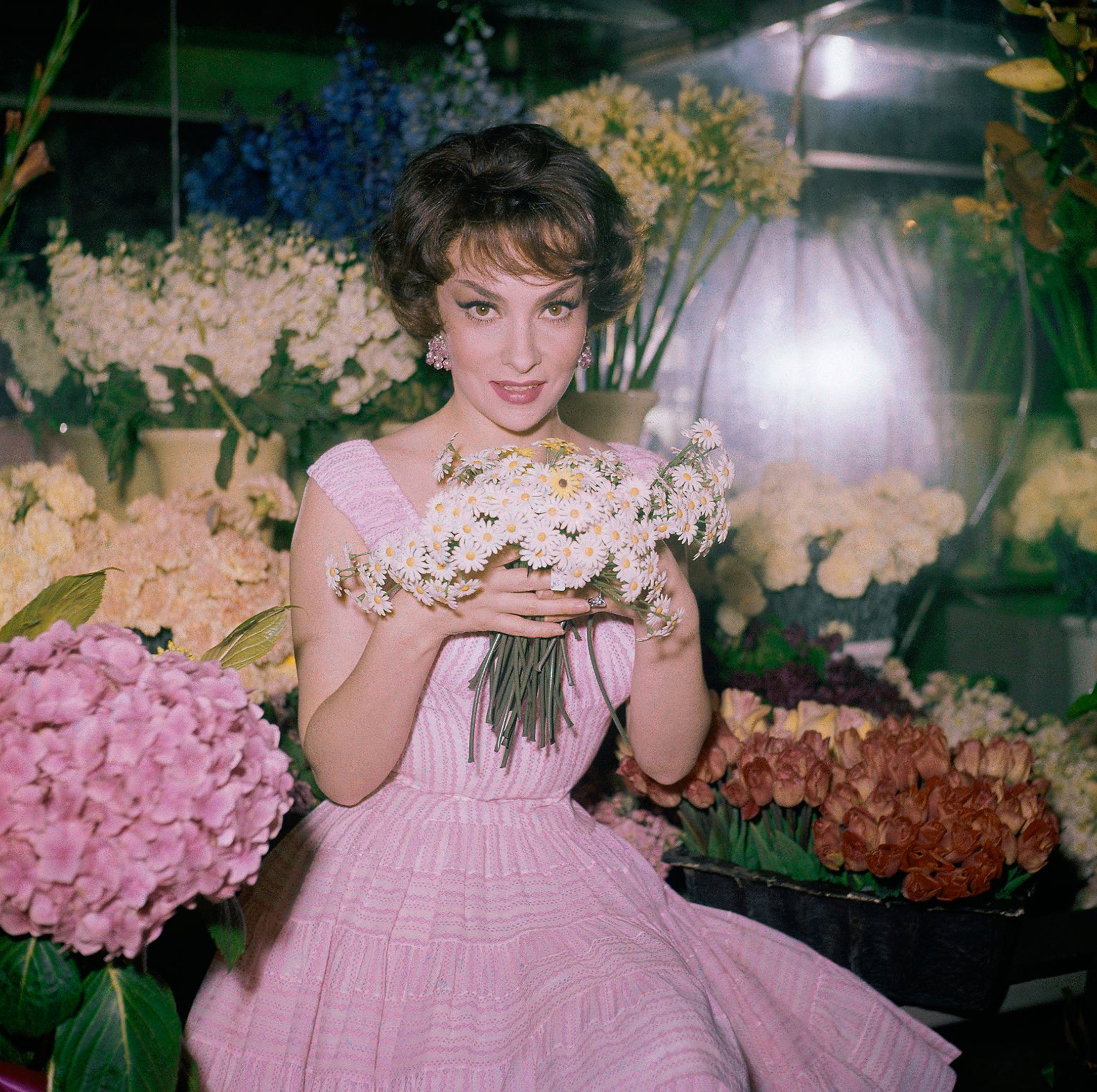 Sexsymbol? Künstlerin!: Die "Lollo" wird 90 - n-tv.de