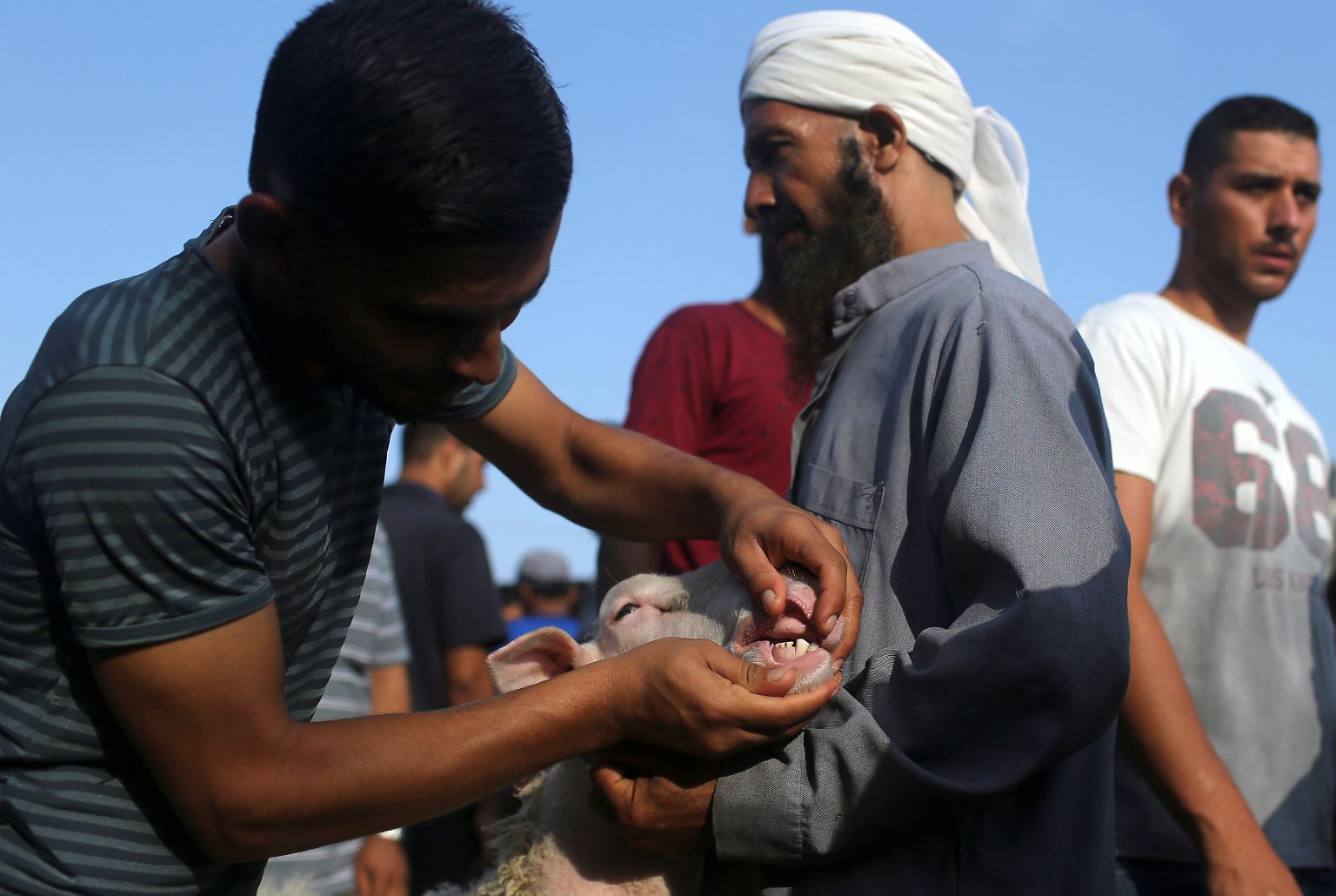 Das Islamische Opferfest: Am höchsten Feiertag fließt viel Blut - n-tv.de