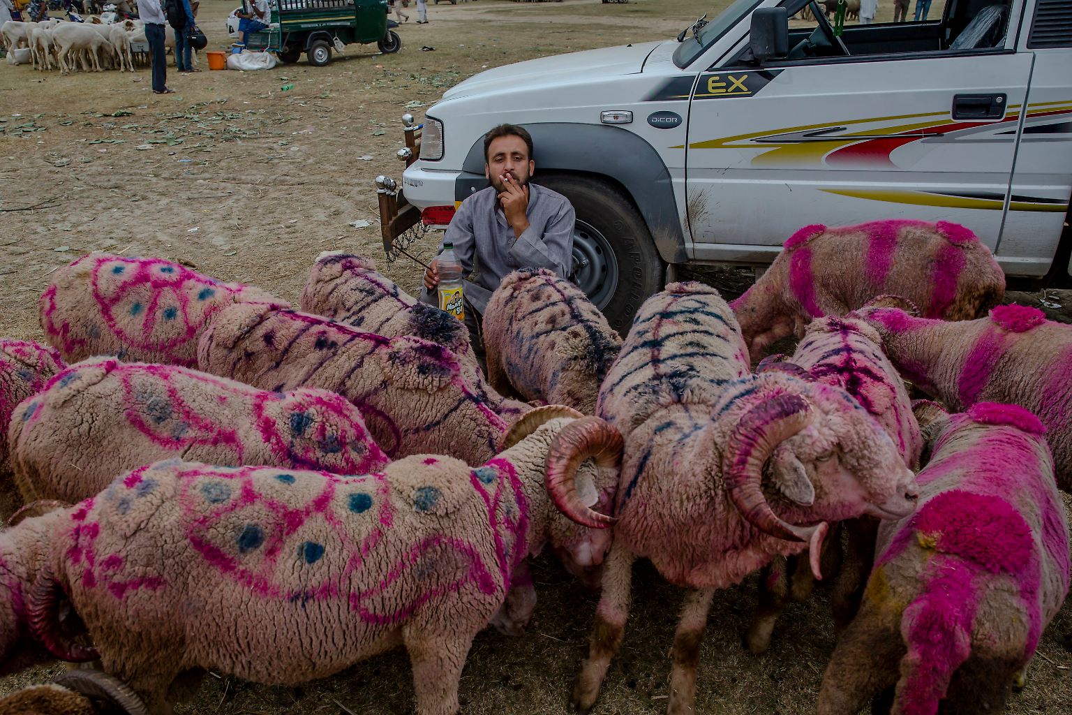 Das Islamische Opferfest: Am höchsten Feiertag fließt viel Blut - n-tv.de