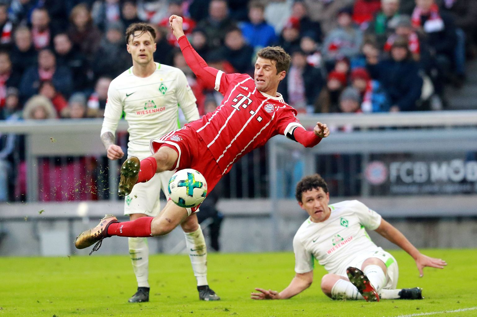 Stern des Südens leuchtet wieder: Wie der FC Bayern zur Meisterschaft ...