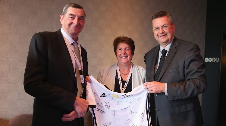 WM-Trauma um Daniel Nivel: Deutsche Hooligans zertreten den Frieden - n ...