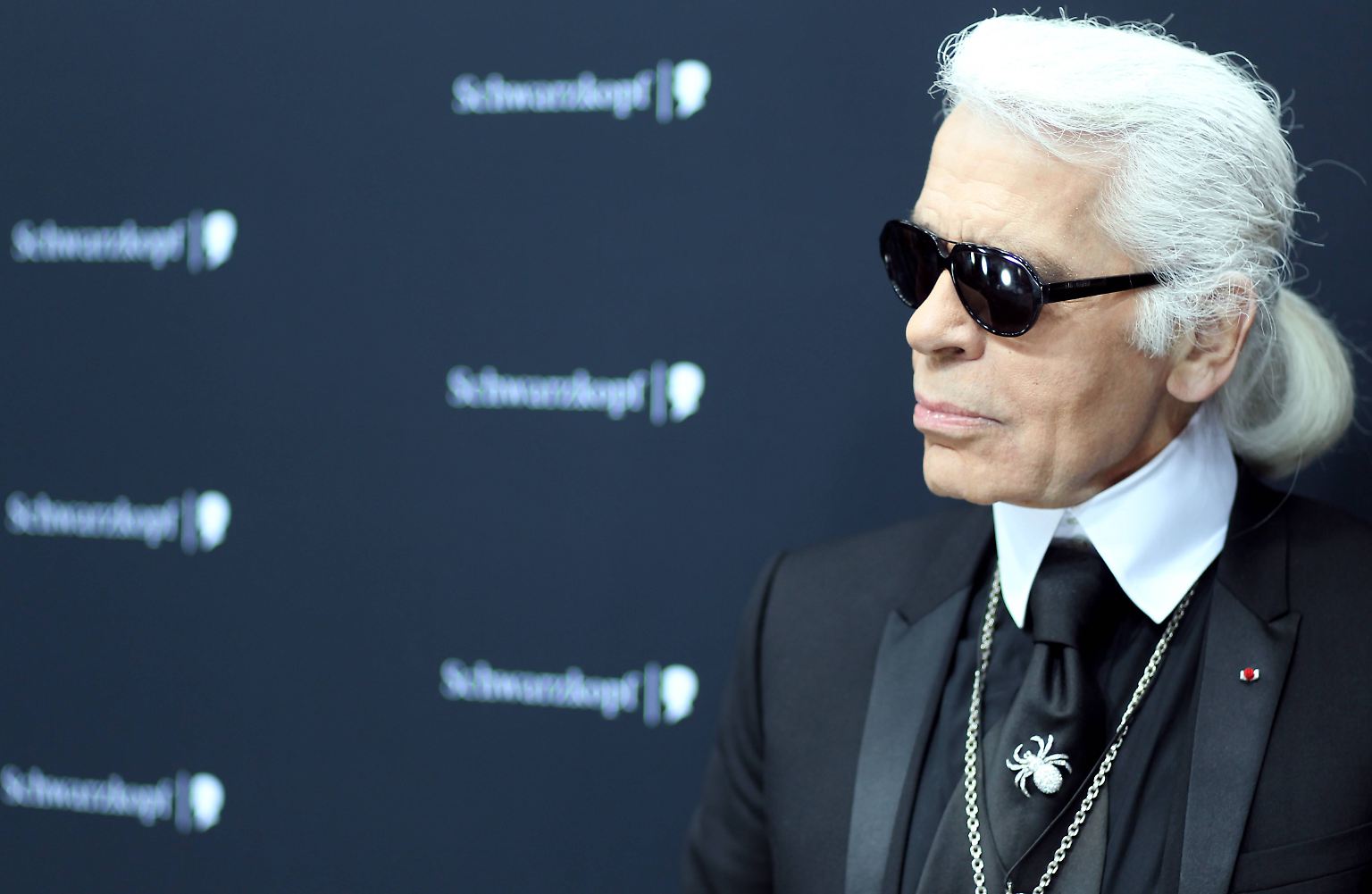 Sein bewegtes Leben: Stil-Ikone Karl Lagerfeld lebt in der Mode weiter ...