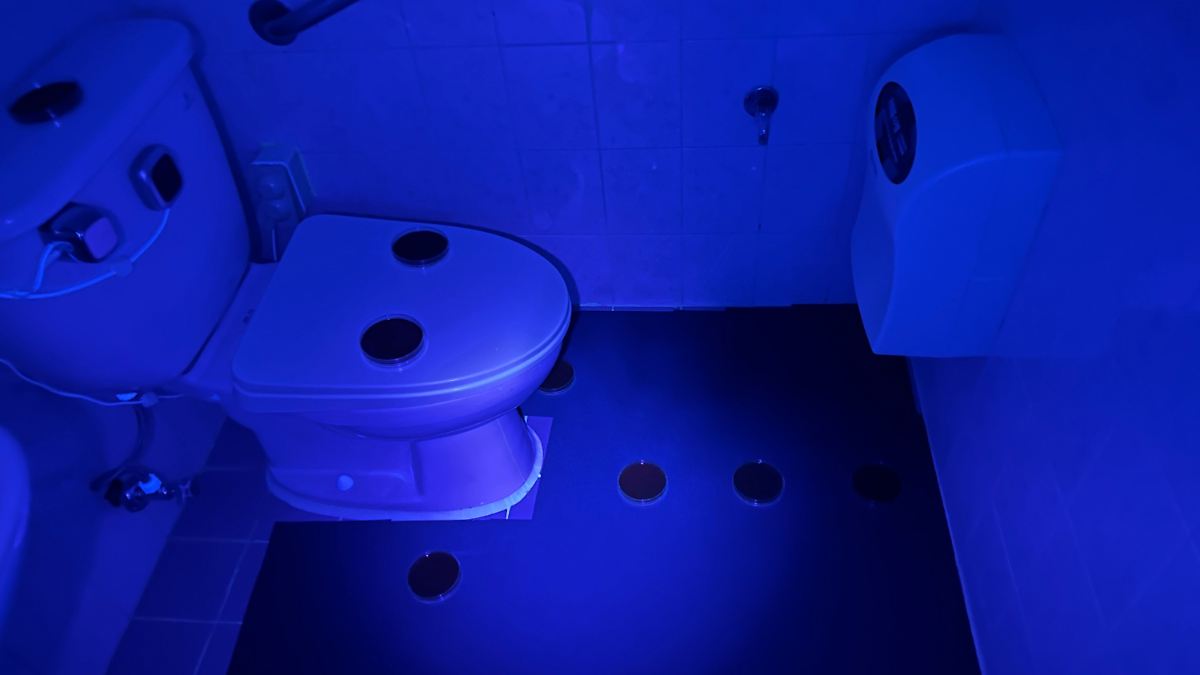 Neue Technik gegen Krankmacher: Toilette lässt sich nur spülen, wenn ...
