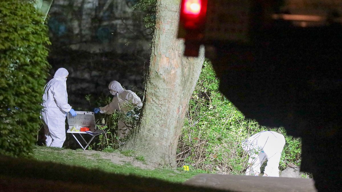 Zersetzung läuft nach Schema: Mikroben an Leichen grenzen ...
