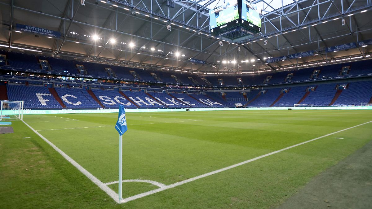 Schalke verklagt Ex-Sponsor Whitefield Landbanking Fund auf drei ...