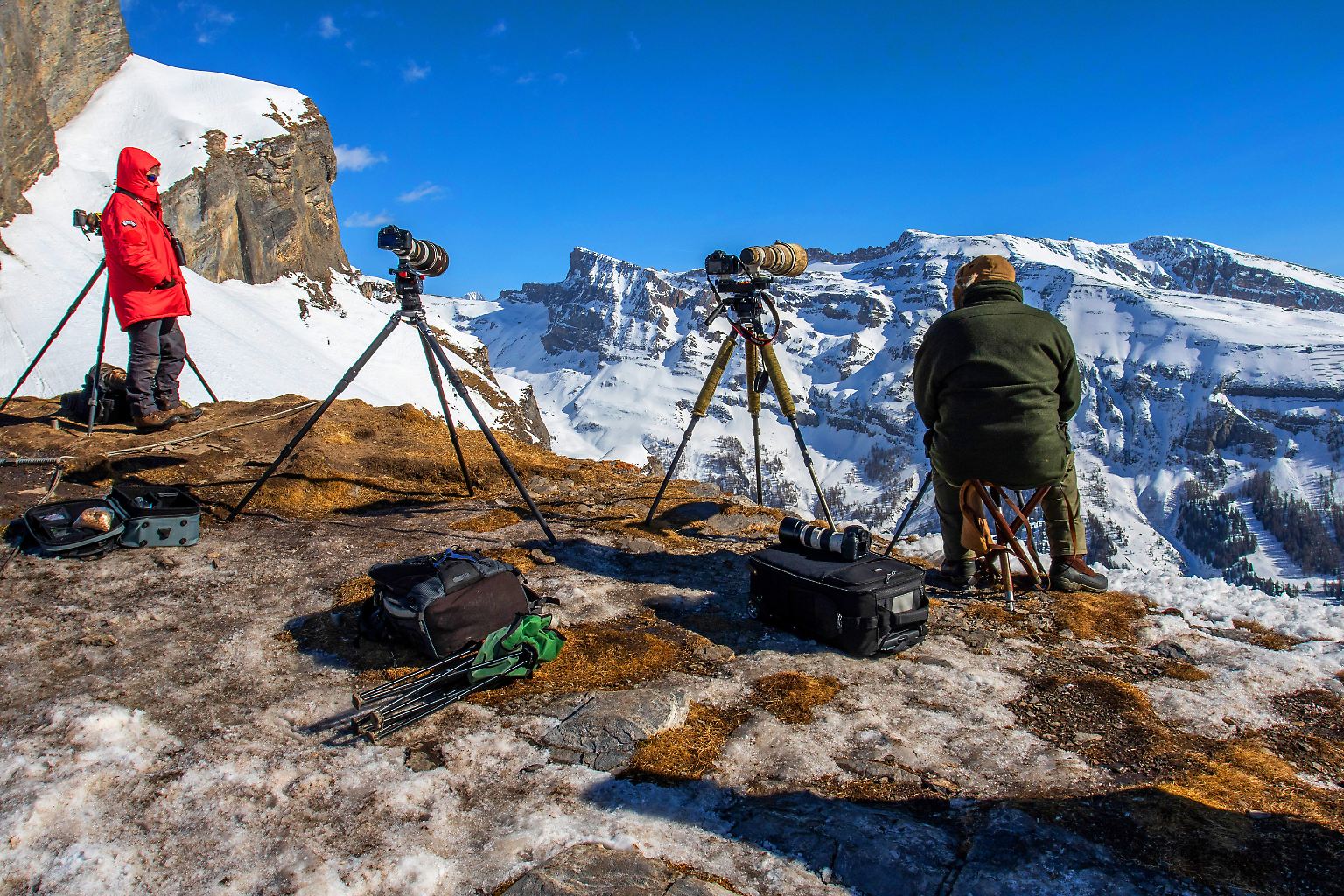 Faszinierende Einblicke: Das sind die besten Naturfotos des Jahres - n ...