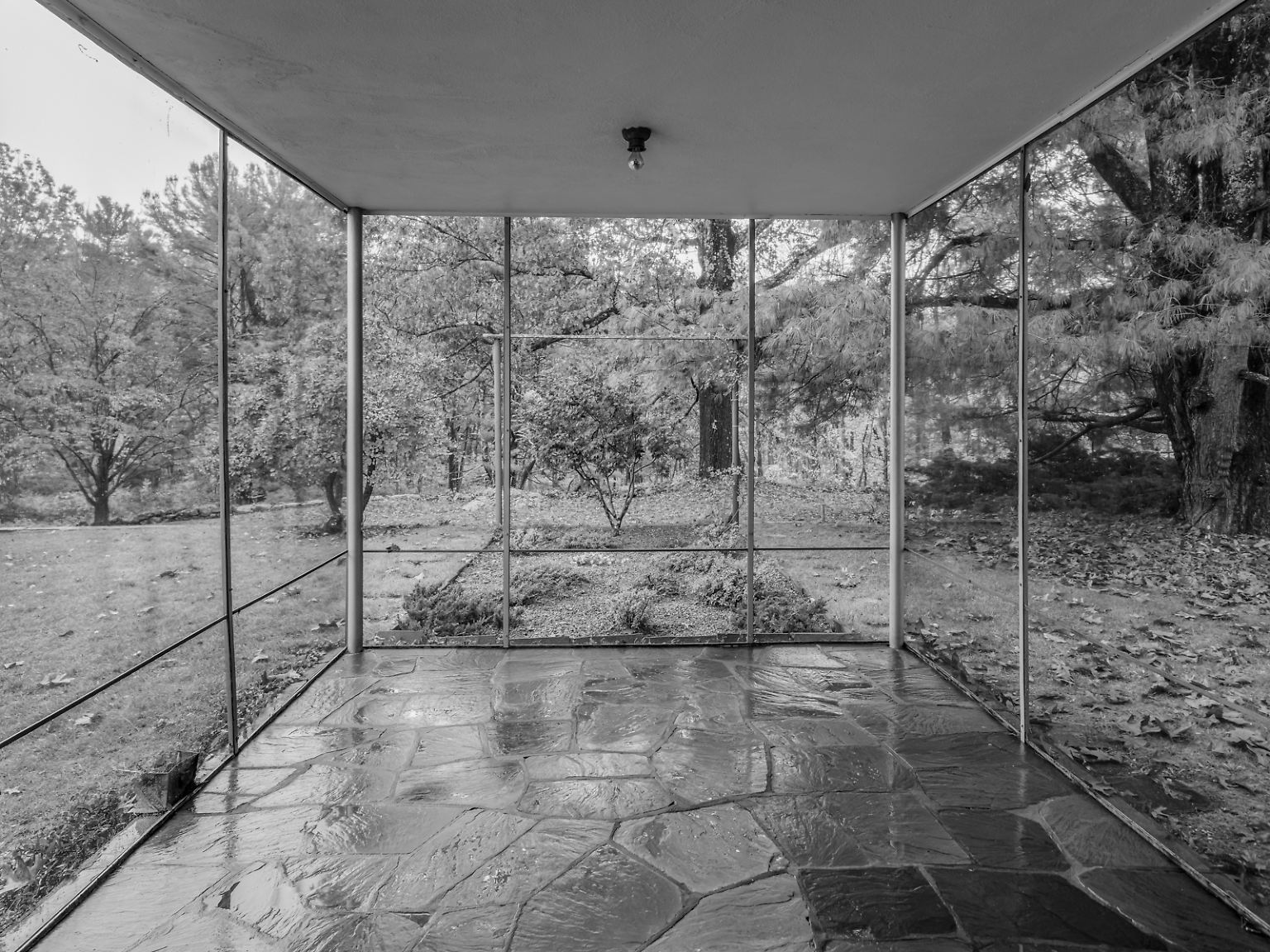 Von Deutschland in die USA: Bauhaus in New England - Bilder eines ...