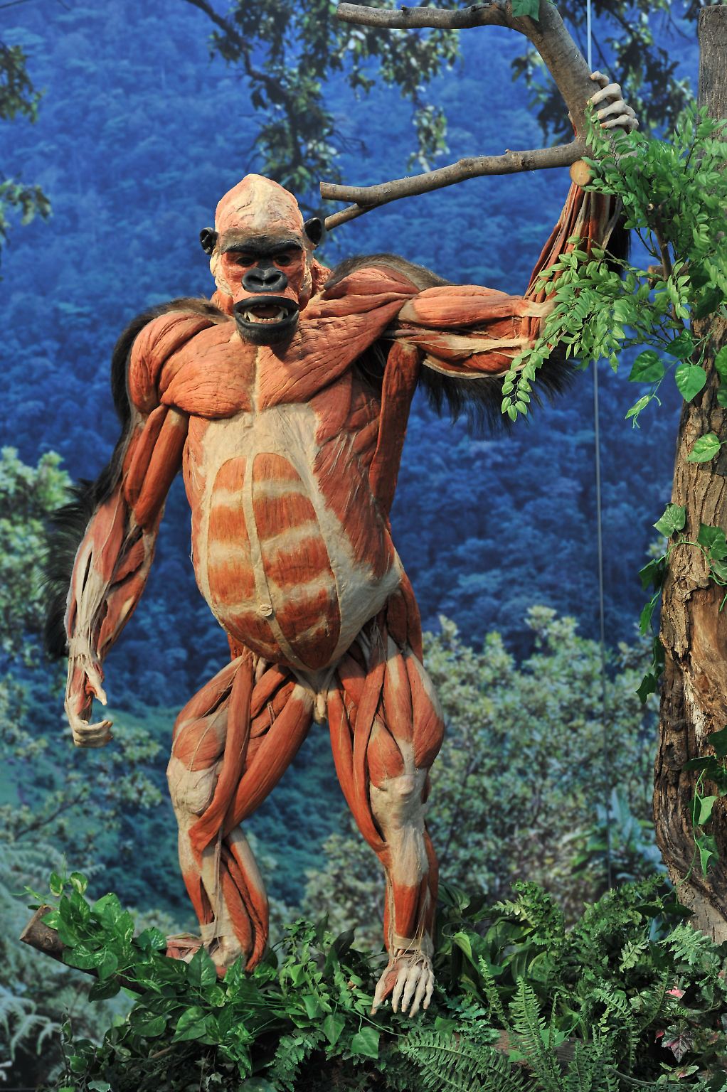 Gunther von Hagens wird 80: "Dr. Tod" - der Mann, der sich mit ...