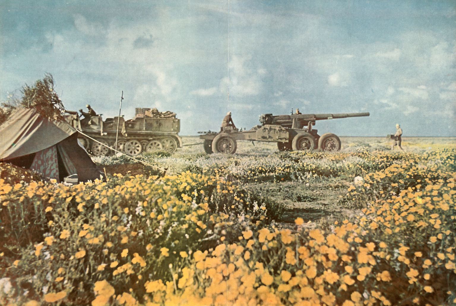 Der Zweite Weltkrieg in der Wüste: Der Afrikafeldzug von "Hitlers ...