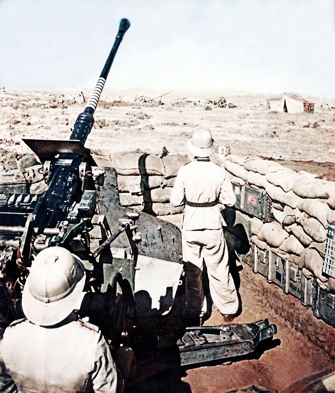 Der Zweite Weltkrieg in der Wüste: Der Afrikafeldzug von "Hitlers ...