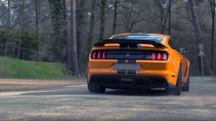 Raser - Nachrichten und Informationen - n-tv.de