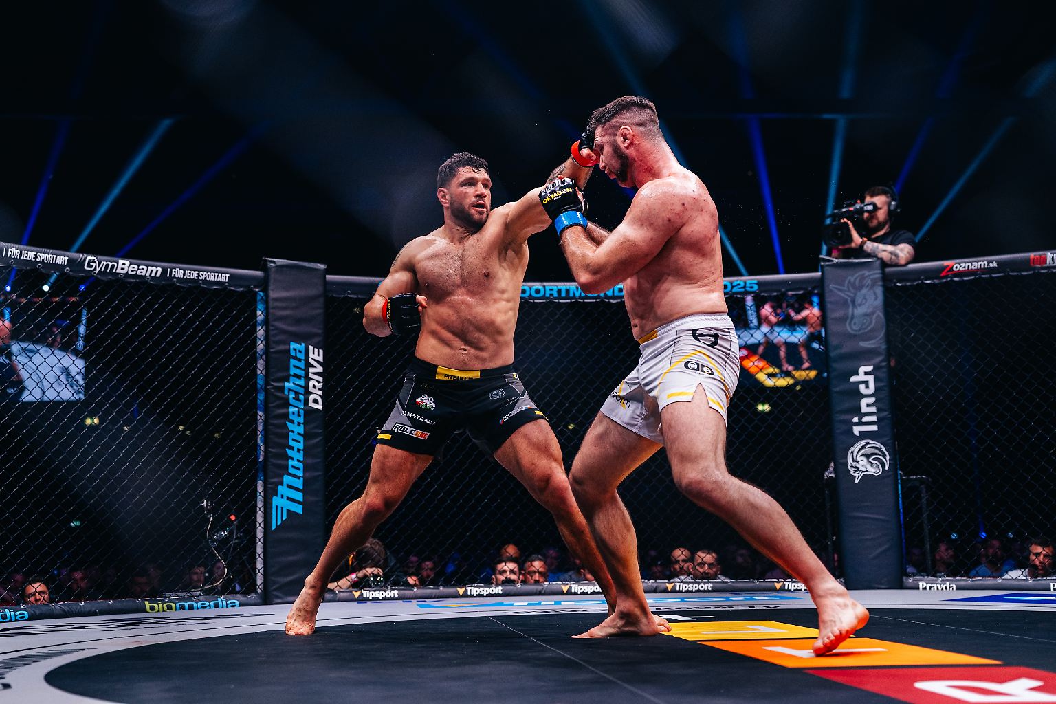 Oktagon Stuttgart in Bildern: Der wilde Will Fleury und eine MMA ...