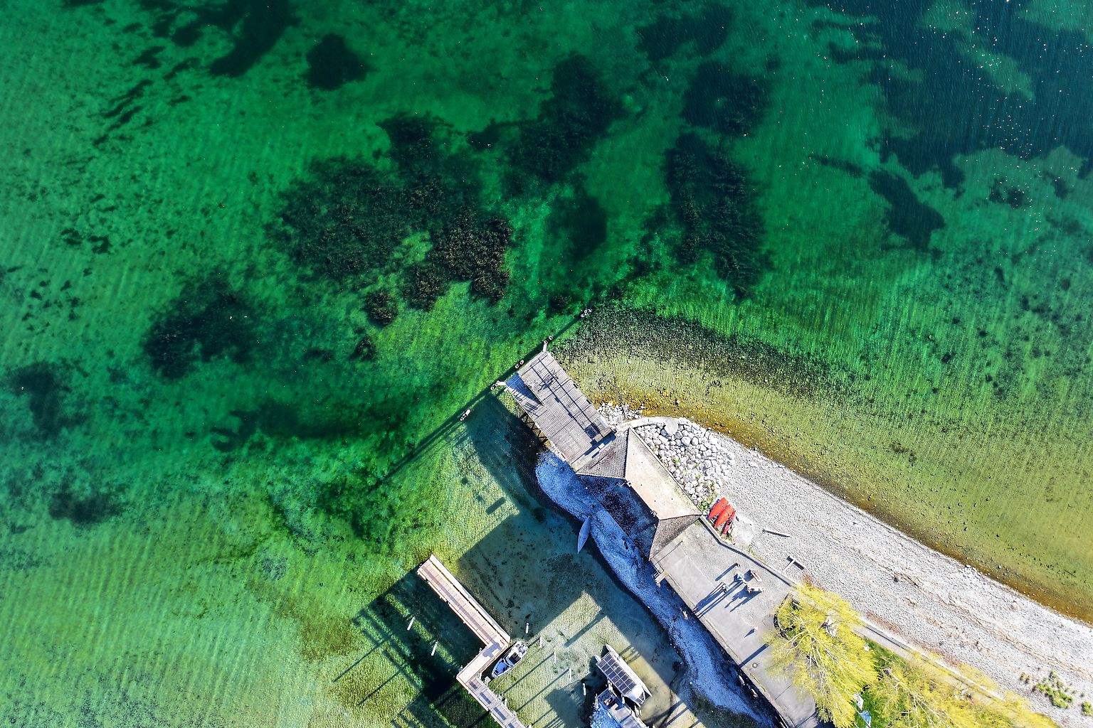 Fast auf historischem Tiefstand: Der Bodensee wird mancherorts zur Pfütze - n-tv.de