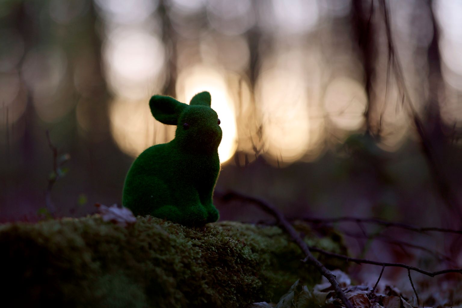 Jahrhundertealte Traditionen: Osterbräuche mit Hasen und Eiern, Feuer ...