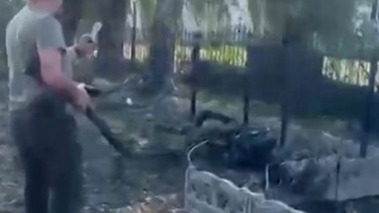 Regionales Berlin-Brandenburg - n-tv.de