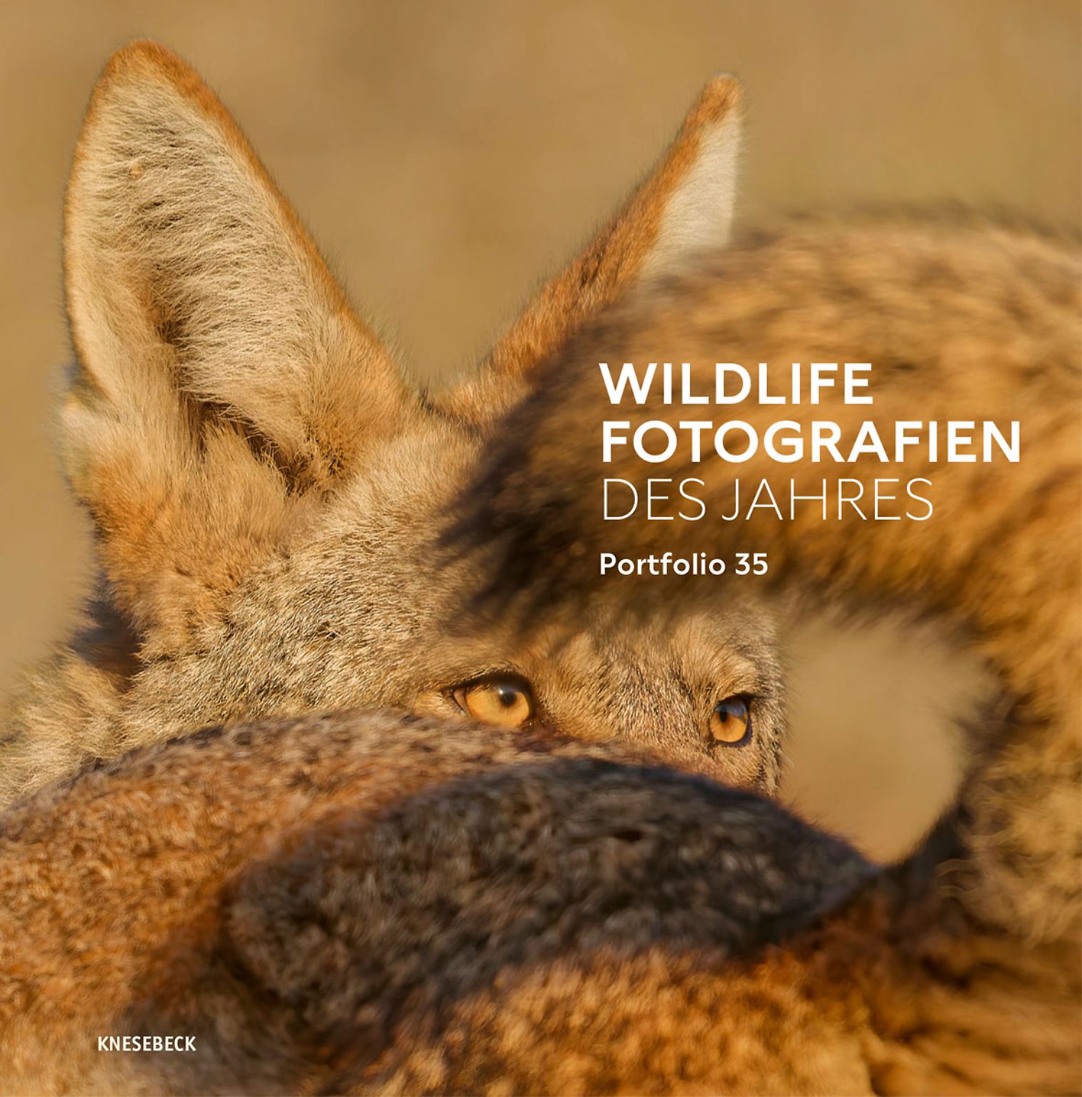 "Wildlife Photographer Awards": Das sind die spektakulärsten Naturfotos des Jahres - n-tv.de
