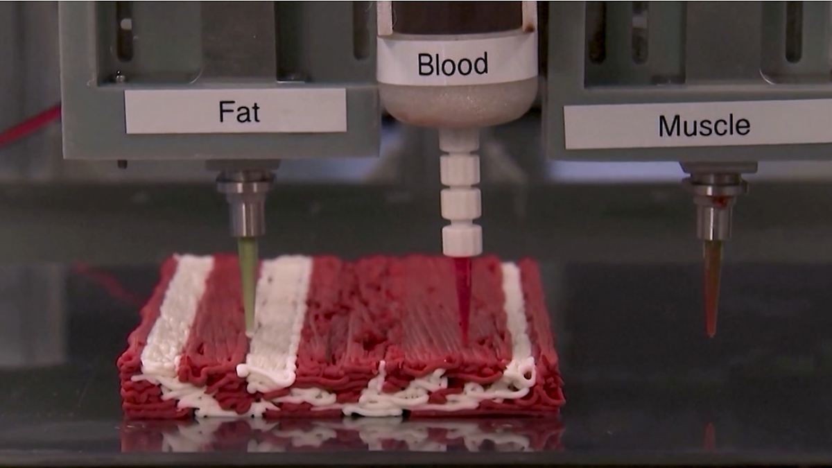 ntv Ratgeber-Reportage: Revolutioniert Fleisch aus dem 3D-Drucker ...