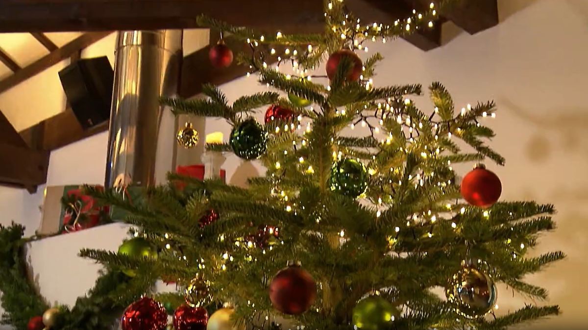 Worauf Käufer achten sollten: 17 bis 35 Euro: Wo gibt's den besten ...