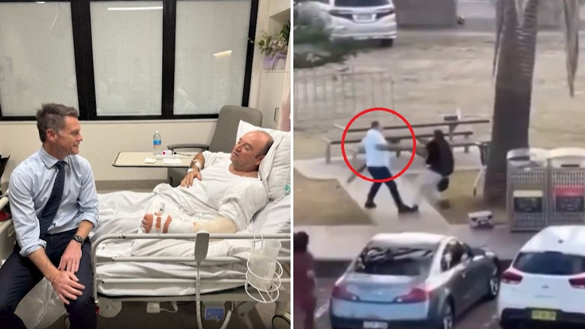 "Unglaublichste Szene": Der Held vom Bondi Beach - Obsthändler Ahmed el ...