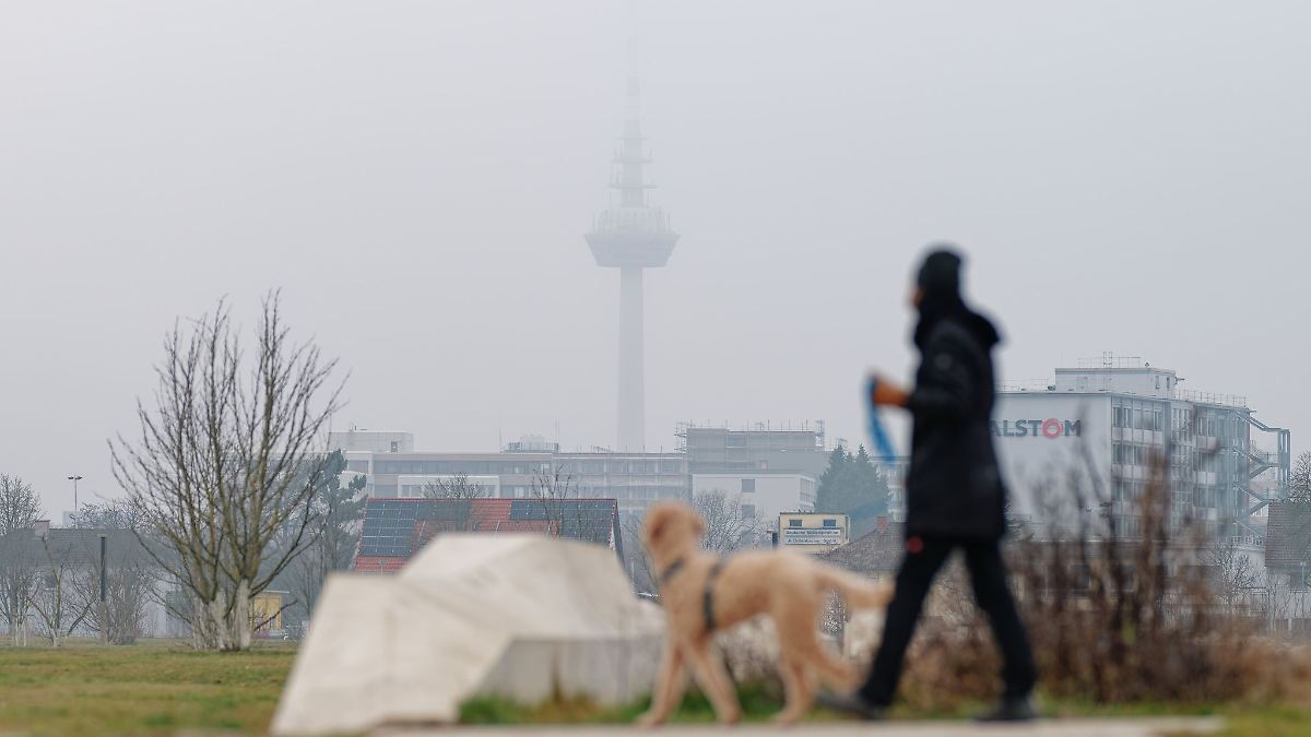 Baden-Württemberg: Kurz sonnig, dann grau - Wolken ziehen im Südwesten ...