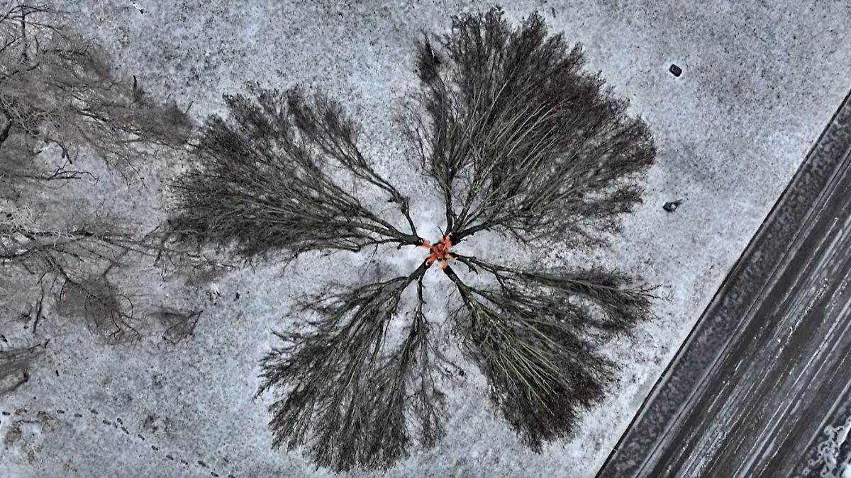 Schnee in rauen Mengen: Eiseskälte in den USA kappt Strom und sprengt ...