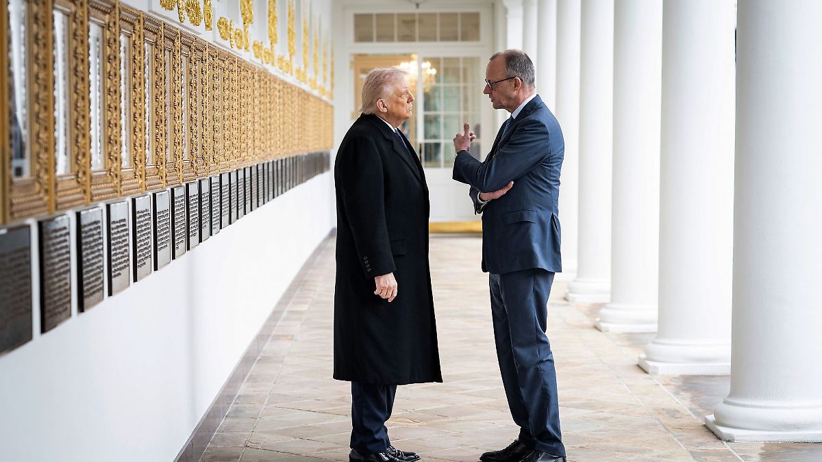 Iran, Ukraine und Nato-Gipfel: Nach wochenlangen Spannungen: Merz ...