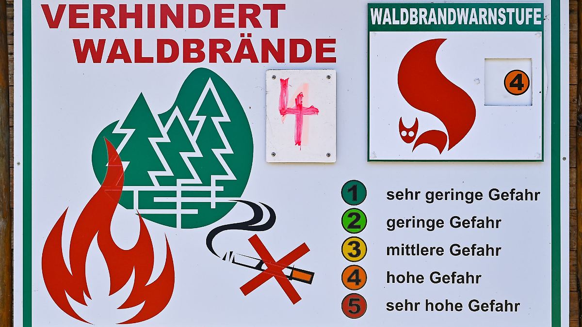 Berlin & Brandenburg: Waldbrandgefahr steigt - Lage im Süden entspannt ...