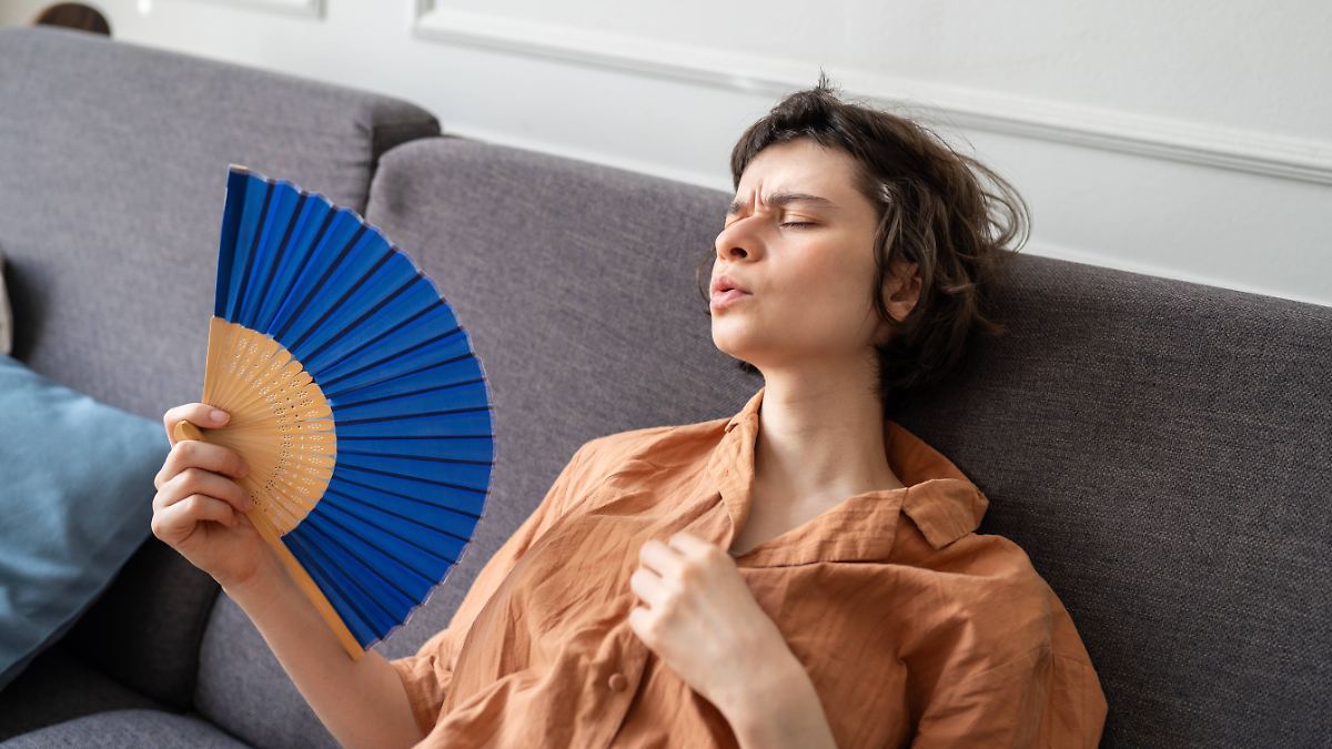 Testsieger-Ventilatoren zum Schnäppchenpreis: Bereit für die nächste ...