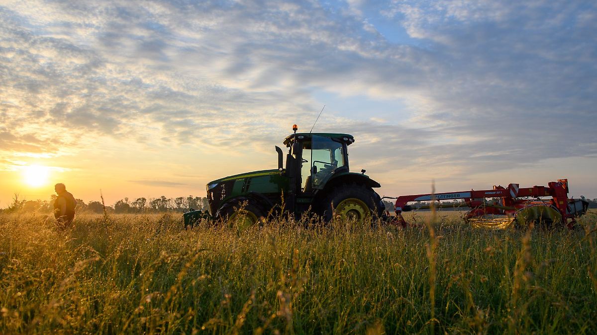 Hohe Düngerpreise: EU plant 500 Millionen Euro Hilfe für Bauern - ntv.de
