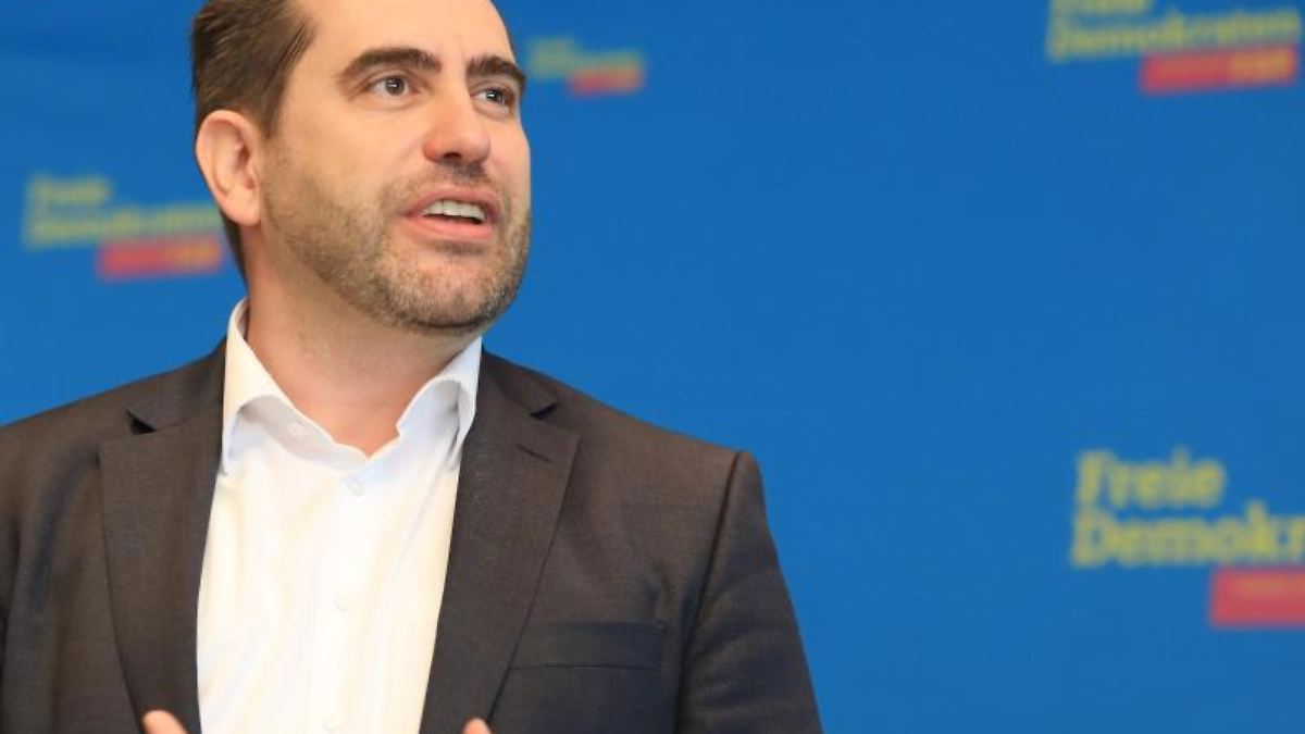 Sachsen-Anhalt: FDP bestätigt Chef Sitta und schielt auf ...