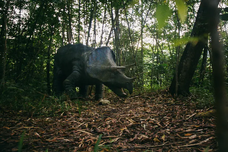 Malaysias erster Freizeitpark: Mimaland wird zum Dinosaurierfriedhof ...