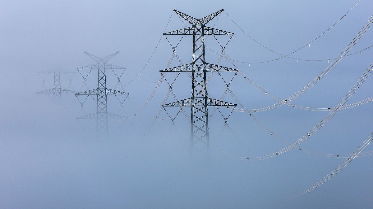 Rheinland-Pfalz & Saarland: Umgestürzter Baum verursacht Stromausfall ...