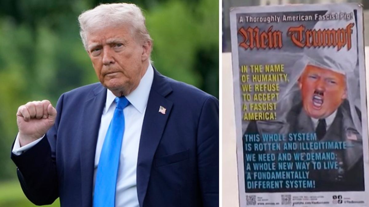 Widerstand gegen Kulturkampf: Yale-Professor: "Gibt keine Demokratie ...