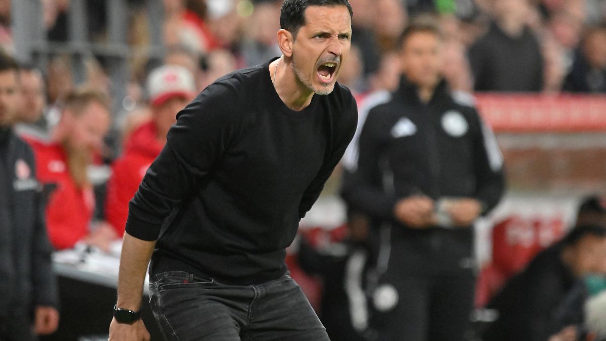 Hessen: Sofa statt Stadion? Eintracht vor Champions-League-Quali - ntv.de