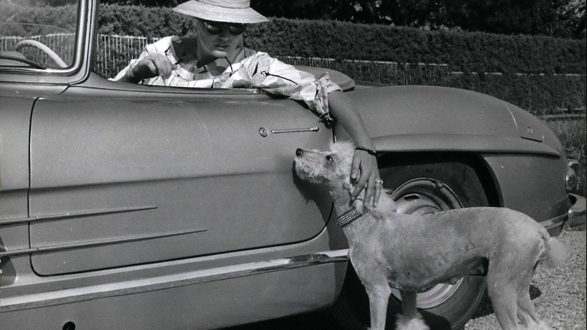 Ferienlektüre, "Teddy" von Newcomerin Emily Dunlay - ntv.de