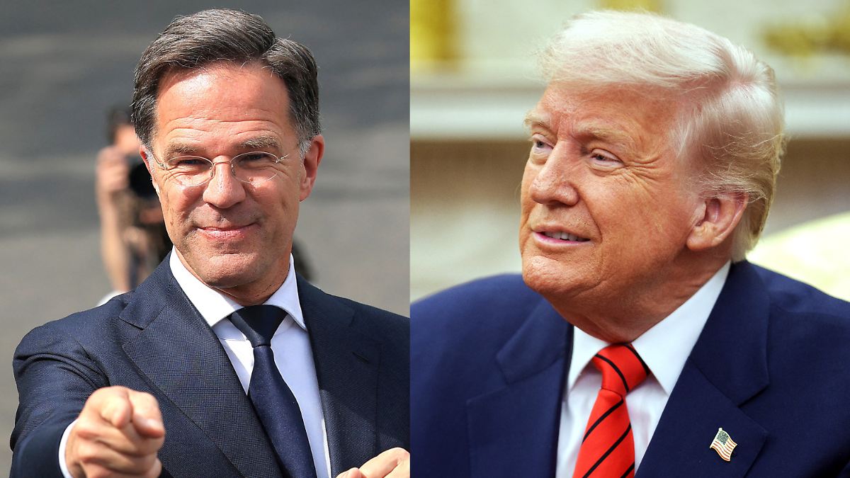 Nato-Chef Mark Rutte umgarnt "lieben Donald" Trump in privater ...