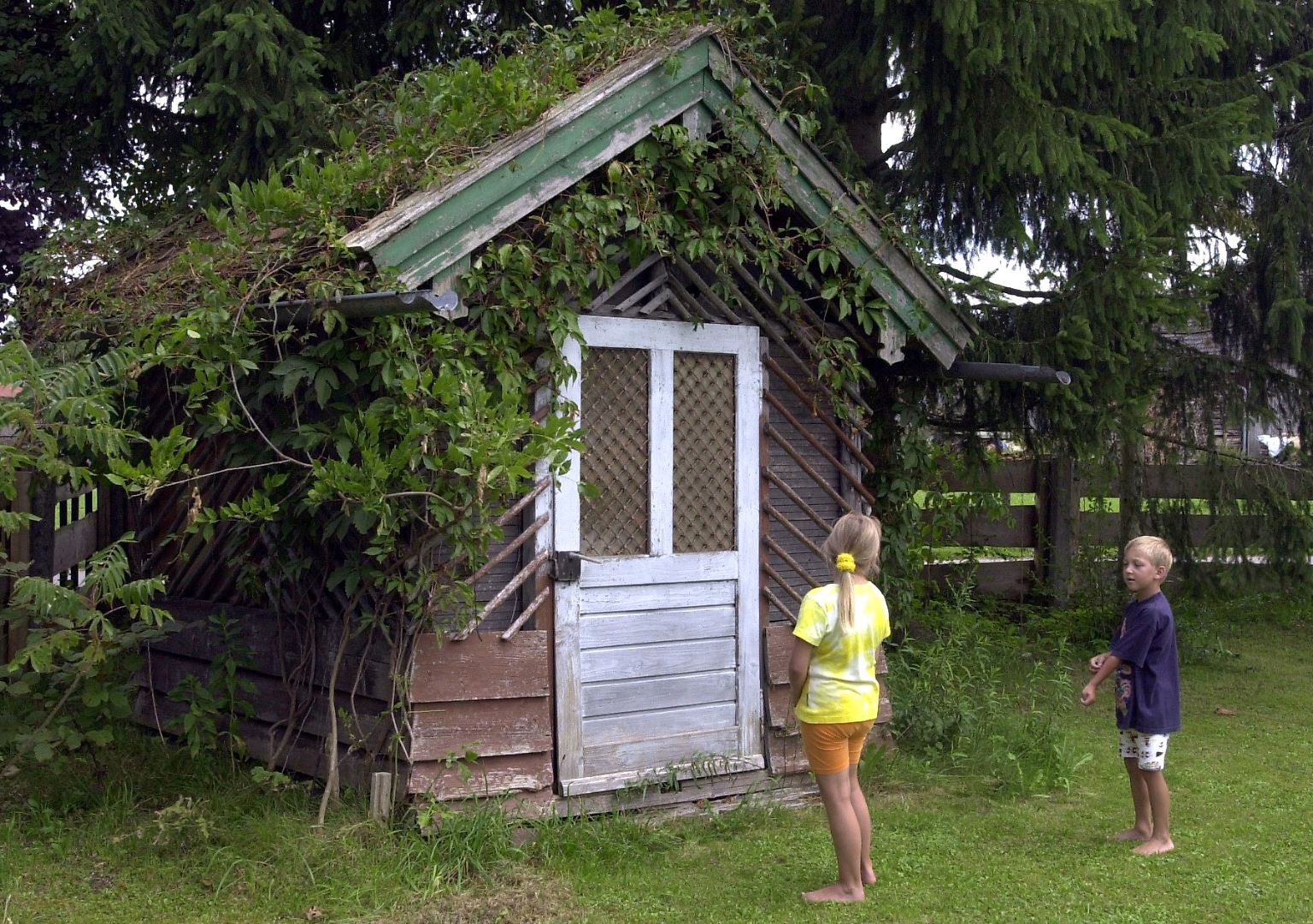 Revolutionär und bunt: 100 Jahre "Blauer Reiter" - n-tv.de