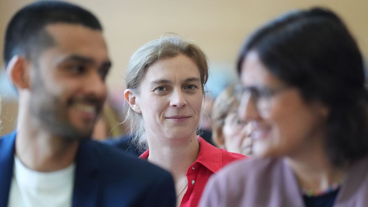 Hamburg & Schleswig-Holstein: Neuer Grünen-Landesvorstand mit Storm und ...