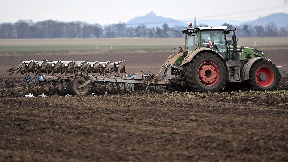 Thüringen: Agrar-Betrieben drohen finanzielle Einschnitte - ntv.de