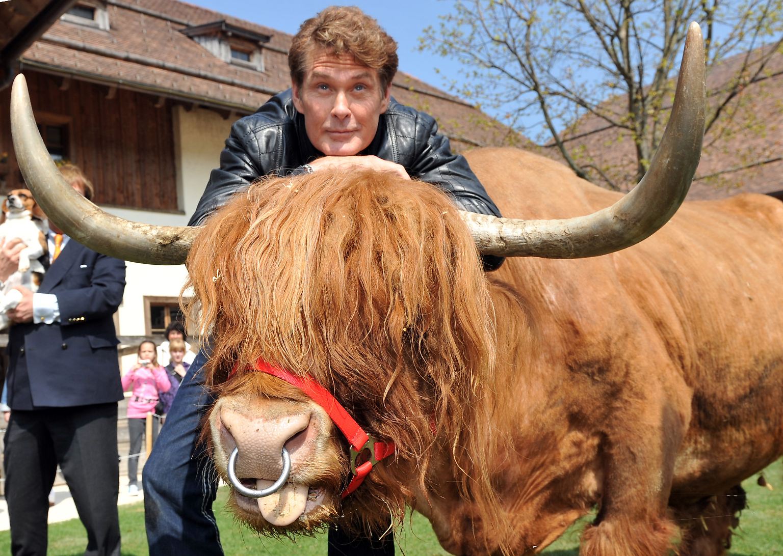 Don't Hassel The Hoff!: Hommage an David Hasselhoff - n-tv.de