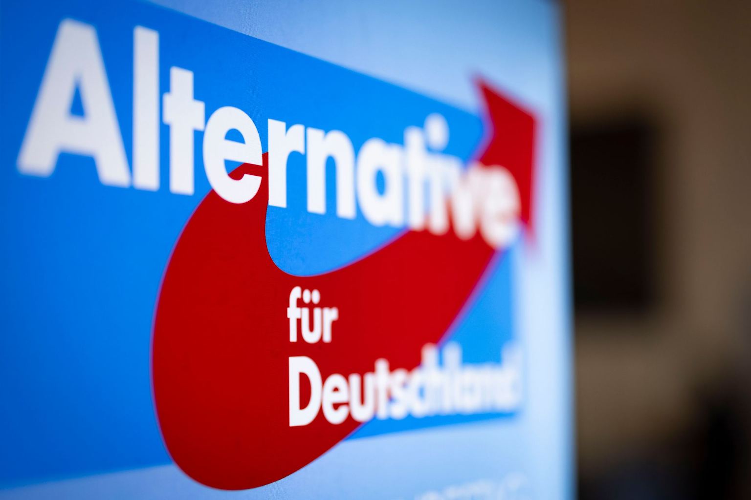 Don't Hassel The Hoff!: Hommage an David Hasselhoff - n-tv.de