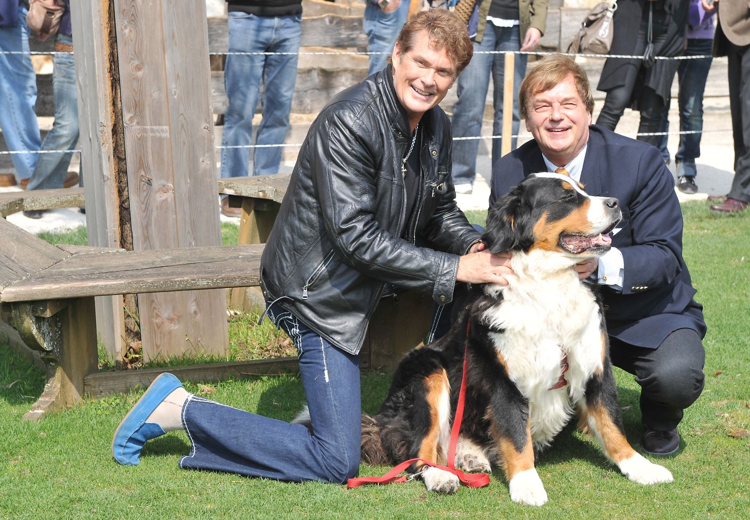 Don't Hassel The Hoff!: Hommage an David Hasselhoff - n-tv.de