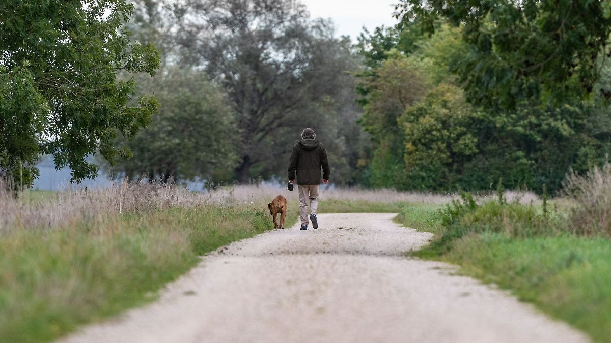 Bayern: Kaum Sonne in Sicht – trübe Tage für Bayern erwartet - ntv.de