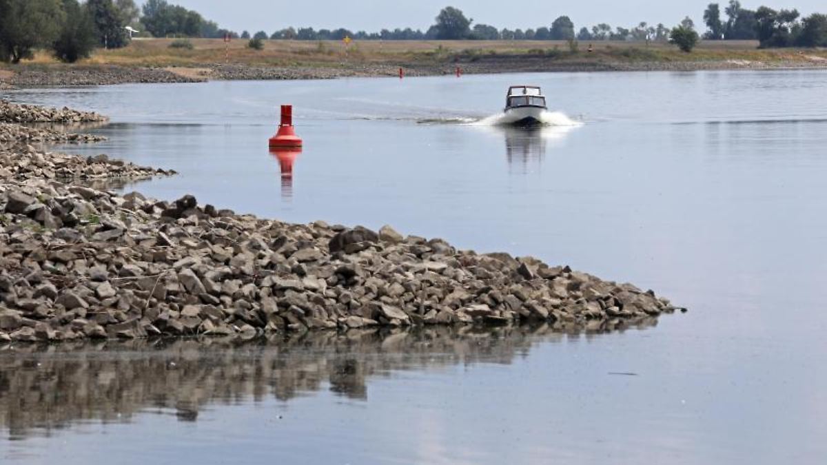 Hamburg & Schleswig-Holstein: Auch die Elbe wartet auf Regen: Gesunkene ...
