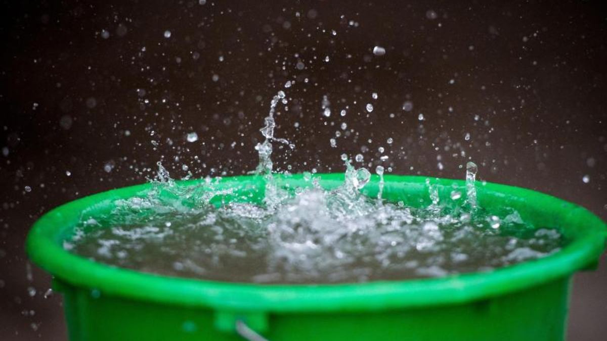 Wertvolle Ressource: Regenwasser sammeln und in Haus und Garten nutzen ...