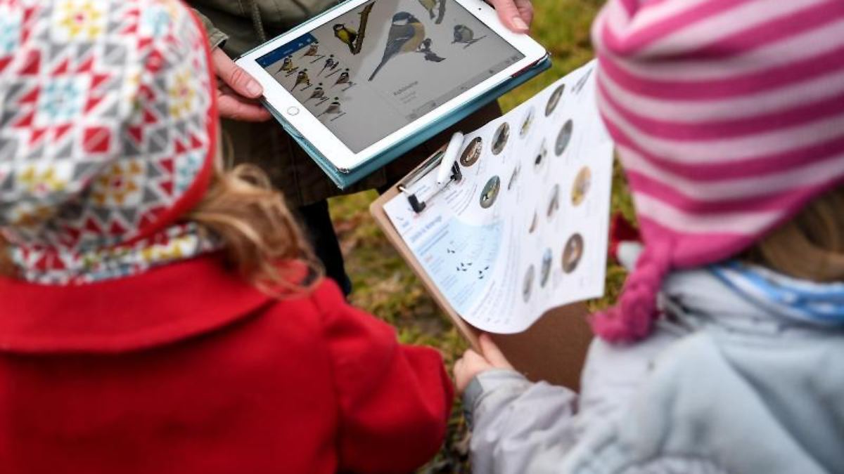 Baden-Württemberg: Immer weniger Experten können Arten bestimmen - n-tv.de