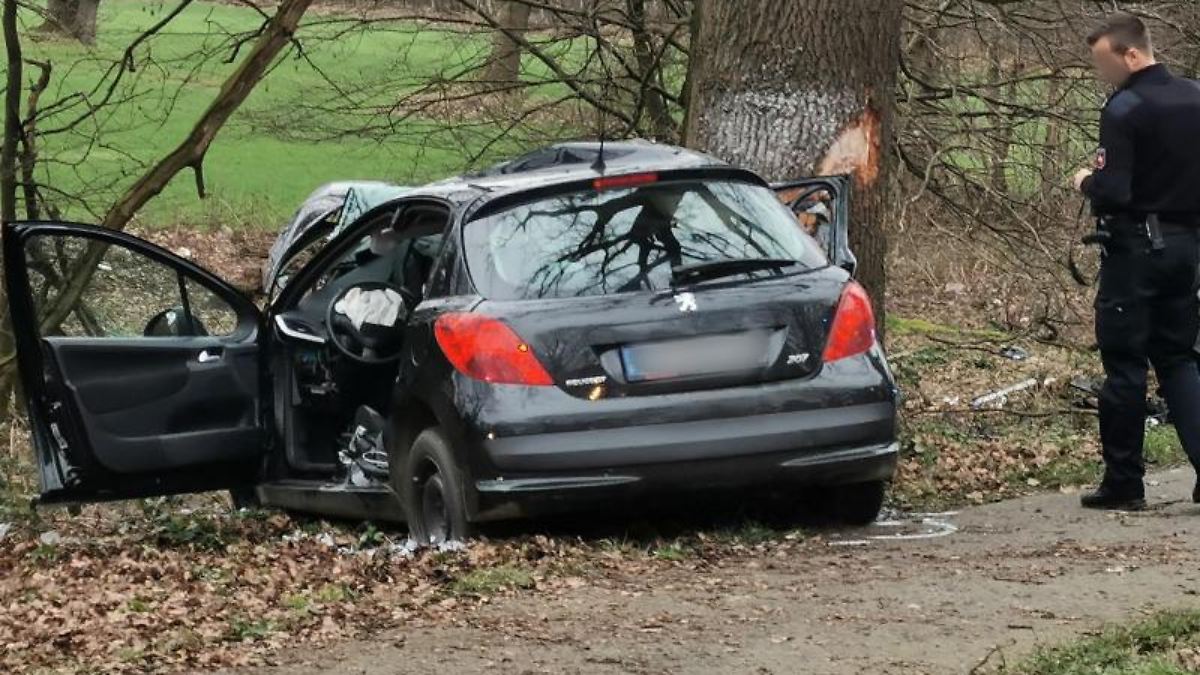 Niedersachsen & Bremen: Auto kracht gegen Baum: 18 Jahre alter Beifahrer stirbt - n-tv.de
